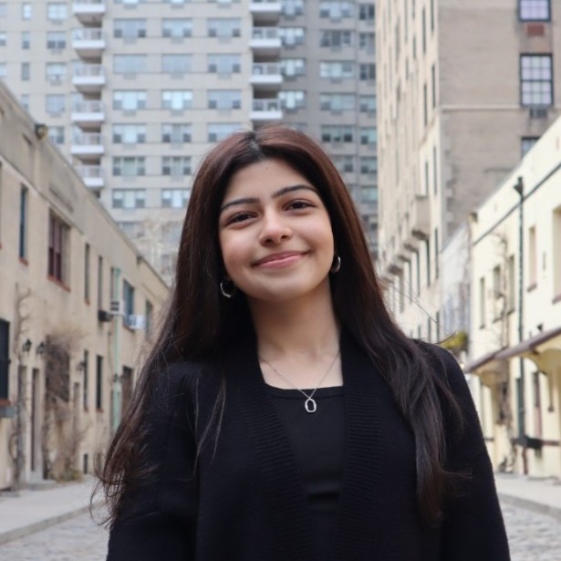 Insignia Ventures Academy